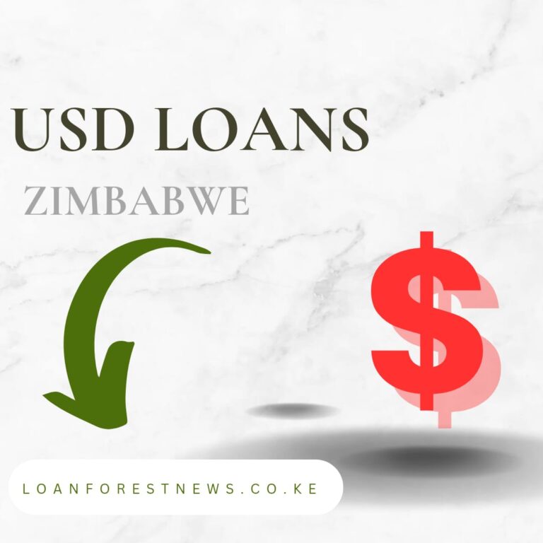 Online USD Loans Zimbabwe: What They Are And How Much You Can Get ...